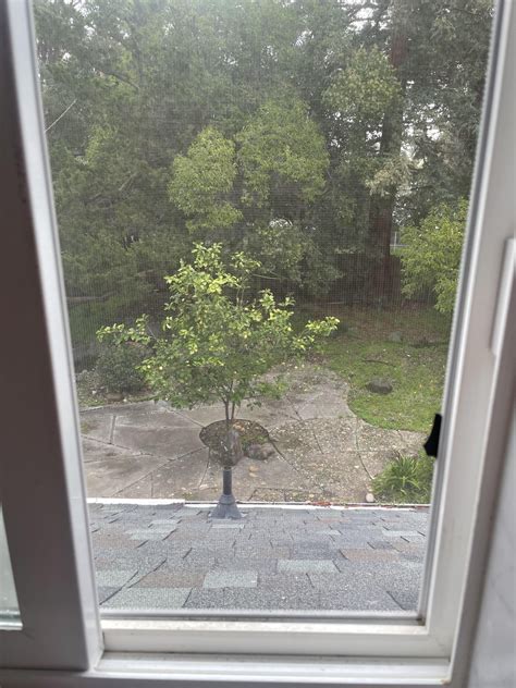 Sewer Line Venting Issue Rplumbing