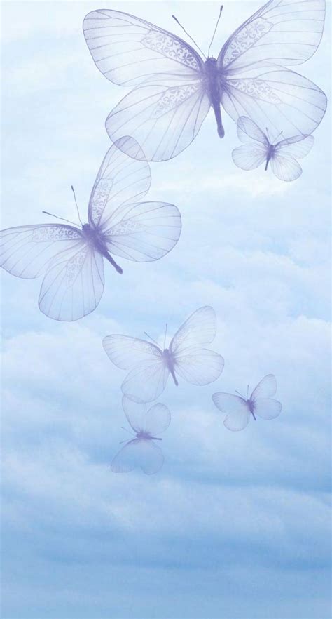 Sky And Butterflies