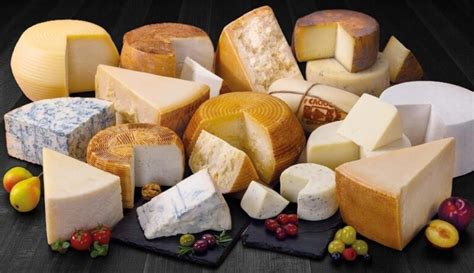 The 2026 Guide On Cheeseboard New Trends Magazine Exclusive