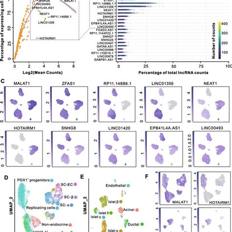Conserved And Specific Expression Features Of Lncrnas A The Plots