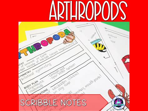 Arthropods Scribble Notes Teaching Resources