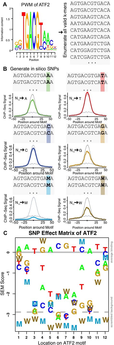 Sem Pipeline With Methylation Predicts The Effect Of Methylation On