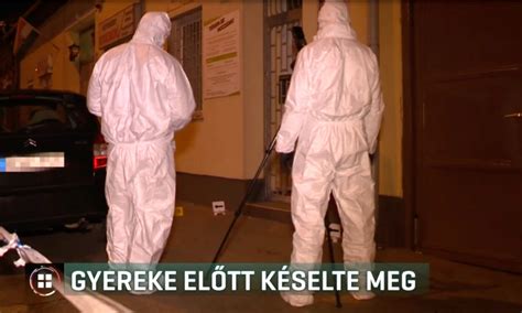 Gyereke Szeme Láttára Késelt Meg Egy Nőt A Volt élettársa Soroksáron