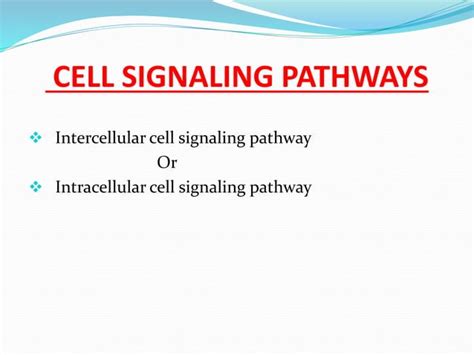 Intercellular And Intracellular Cell Signaling Pathway Pptx