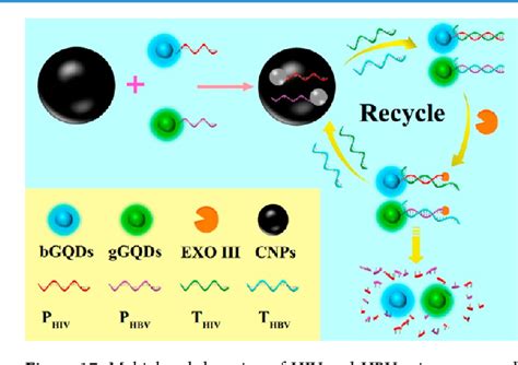 Figure 17 From Advances In Structural Modifications And Properties Of Graphene Quantum Dots For