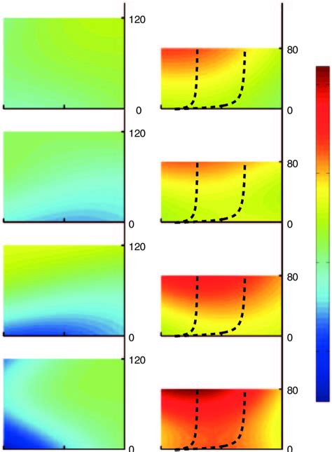 The Average Potential Functions ÈÁ For The Mating Module In