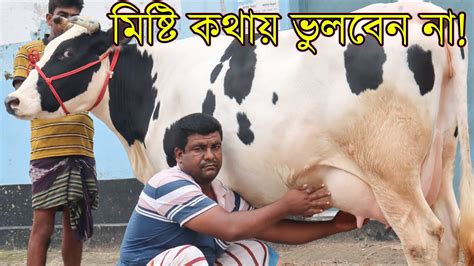 পদ পদবী আর চেহারা এগুলো দেখে গরু না কেনার পরামর্শ রফিক ভাইয়ের। সুন্দর
