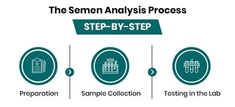 Semen Analysis Test Process Accuracy And Results Explained