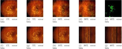 Decrypted Images Of HRIS003 For Several Percentages Of Error