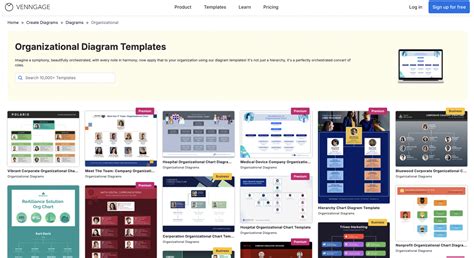 HR Data Visualization Turning Data Into Powerful Stories Venngage
