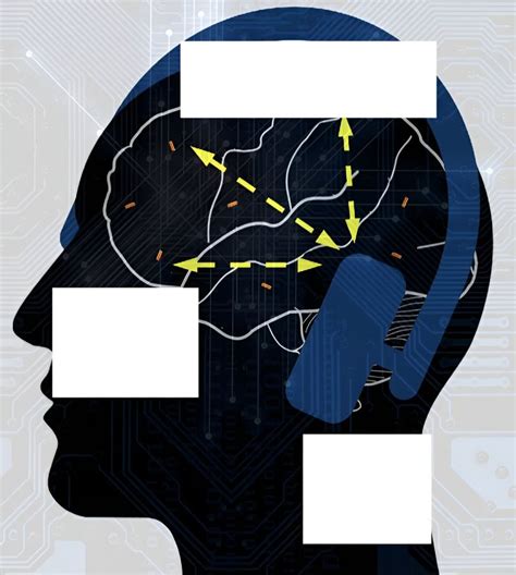 Tech Xplore On Linkedin The Brain Gets Its Own Broadband Electro