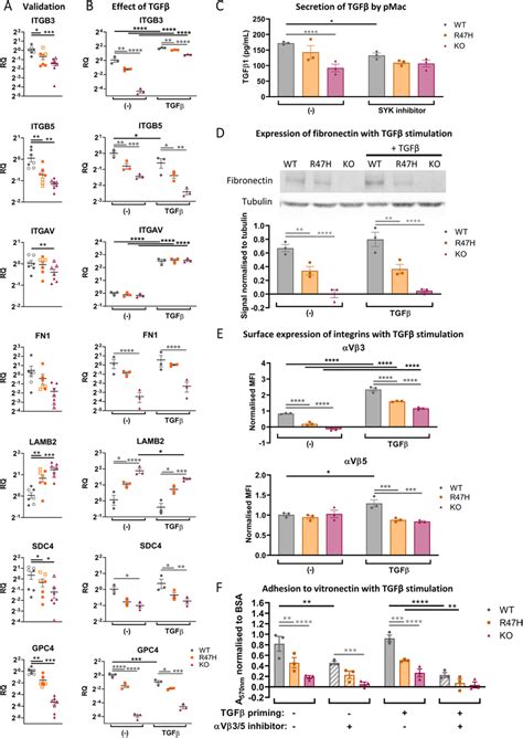 Extracellular Matrix Adhesion Modifiers And Adhesion To Vitronectin Are