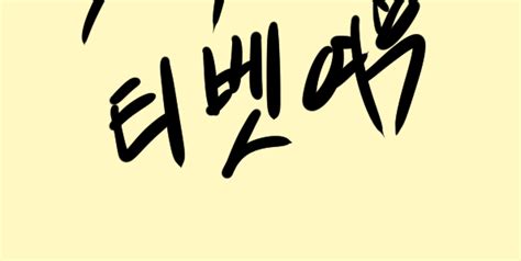 티벳여우 졸작 티벳여우 세상