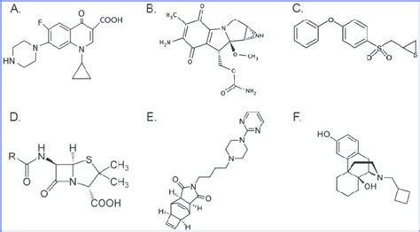Examples Of Biologically Active Compounds And Drugs Containing