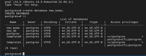 How To Clone And Run A Django Project Locally