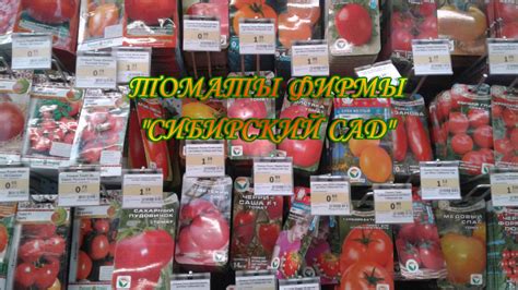 КАКИЕ ПОМИДОРЫ МНЕ НЕ ПОНРАВИЛИСЬ - YouTube