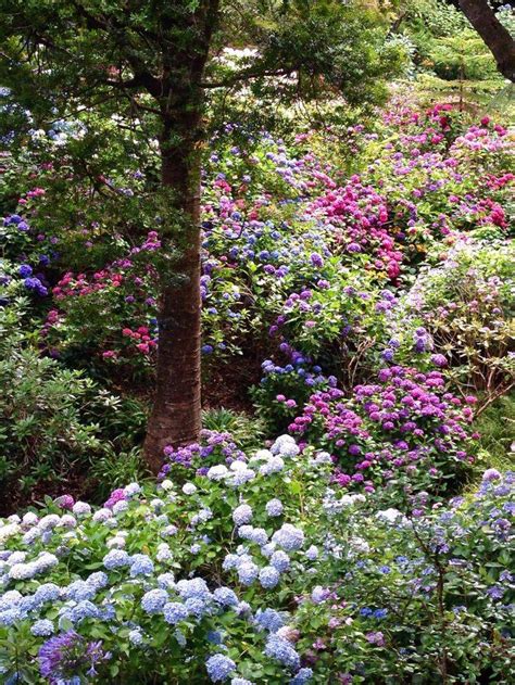 24 New Zealand Botanical Garden Ideas You Cannot Miss SharonSable