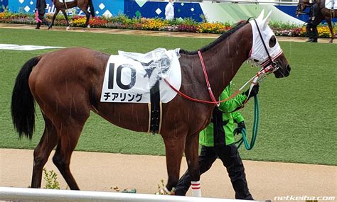 チアリング Cheering 競走馬データ Netkeiba