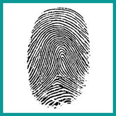 What Is A Fingerprint Lets Get To The Bottom Of It