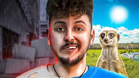 Espacios Ideales Para Mascotas Exóticas En Jaulas Actualizado Junio 2025