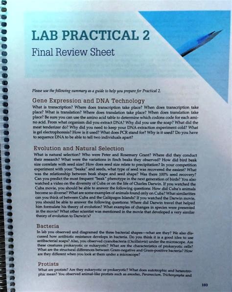 SOLVED LAB PRACTICAL 2 Final Review Sheet Plae VooC Follotng SurnAry
