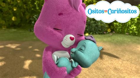 Ositos Cariñositos Animales bebés YouTube