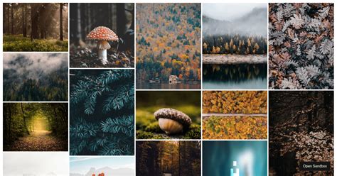 React Photo Gallery Examples CodeSandbox
