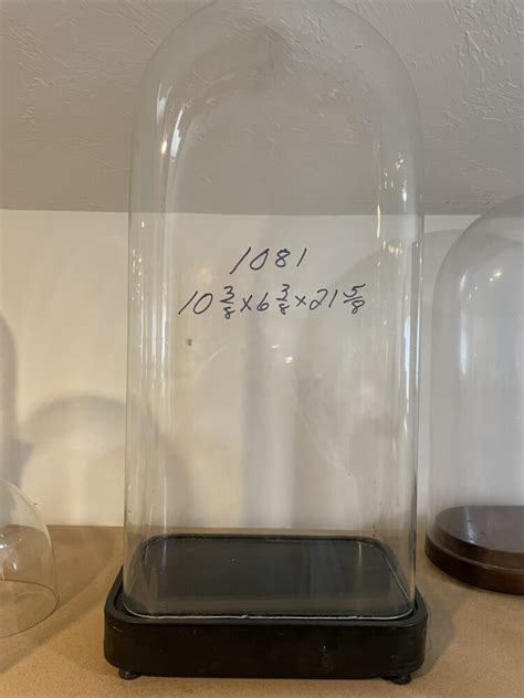 10 38 X 6 38 X 21 58 H Rectangular Glass Dome Glass Domes