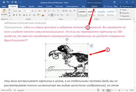 Microsoft Word