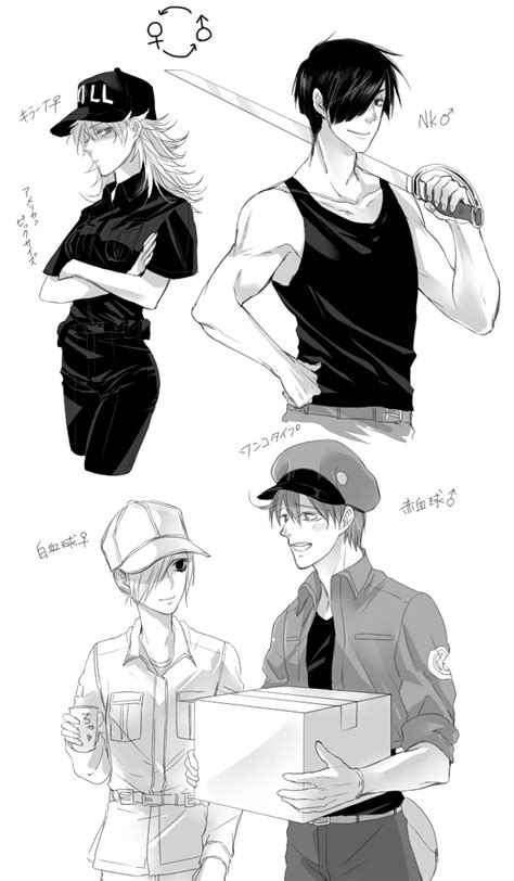 White Blood Cell Red Blood Cell Ae 3803 U 1146 Killer T And 1 More