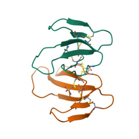 Rcsb Pdb 1kxi Structure Of Cytotoxin Homolog Precursor