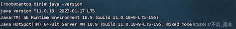 centos安装部署Tomcat 手把手教程 tomcat CSDN博客