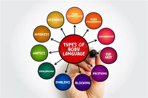 Types Of Body Language Range Of Nonverbal Signals That You Can Use To