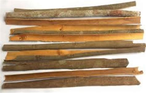 Split Cassia Cinnamon At Best Price In Madurai By Sri Duropath Exim