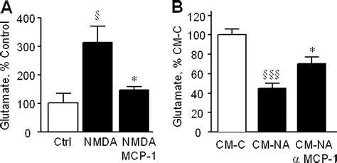 Astrocyte Derived MCP Mediates Neuroprotective Effects Of Noradrenaline Journal Of Neuroscience