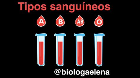 Tipos sanguíneos y compatibilidad ABO y Rh Explicados YouTube