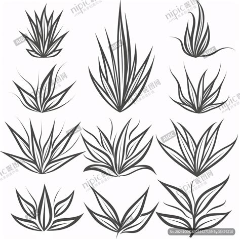 Ai创作图草简笔画素材 芦荟线稿 手绘淡竹叶 线描芦荟 芦荟盆栽手绘 手绘芦荟盆栽 芦荟草素材 植物简笔画素材 手绘素材植物叶子 高清手绘草本 小草线条图 艾草线描图 芦荟线描 手绘牛筋草