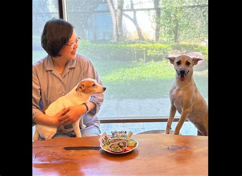 獨家蔡英文也住「違建」遭查報！陽明山豪宅租屋曝光 中天新聞網