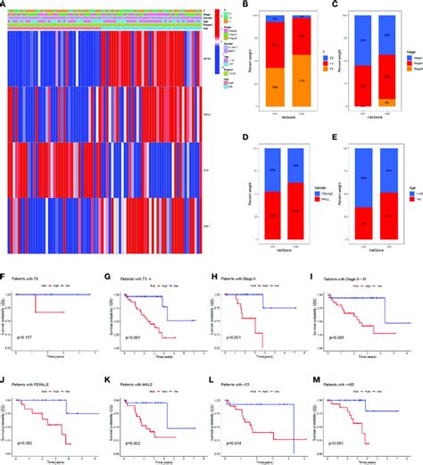Clinical Correlation And Survival Analysis Of Smgs In Patients With Uvm Download Scientific