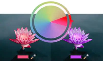Graphic Design Software Windows CorelDRAW Graphics Suite