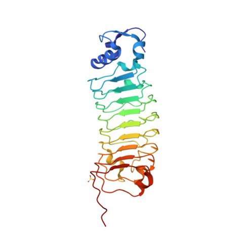 RCSB PDB 4R6J Crystal Structure Of Computaional Designed Lucine Rich
