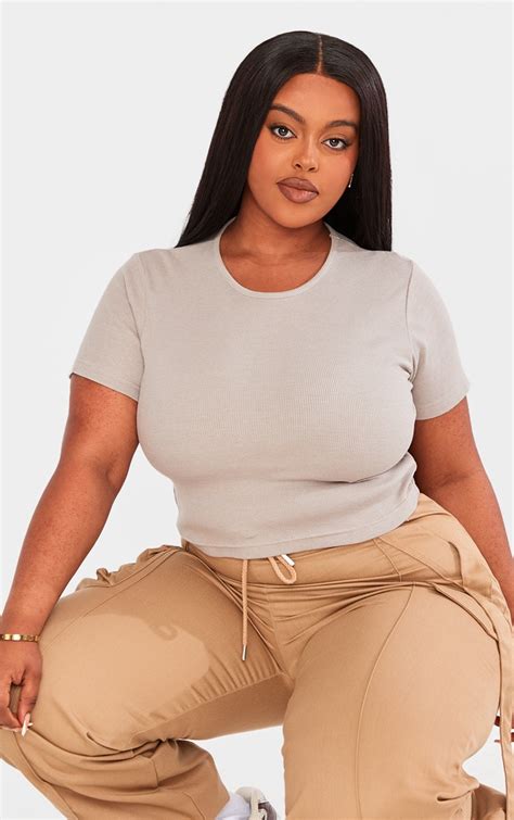 Plus Ash Grey Basic Rib Short Sleeve Crop Top Plus Size