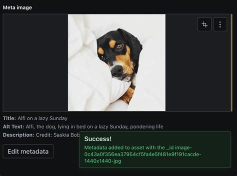 Learn How To Build An Awesome Image Custom Input Component For Metadata