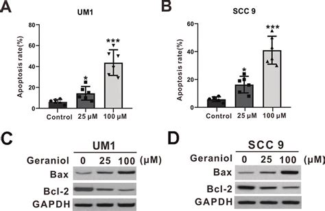 Geraniol Promotes Apoptosis Of Um1 And Scc 9 Cells In A Dose Dependent