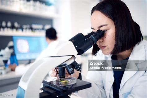실험실 현미경 및 의료 과학 분석 연구 혁신 및 생명 공학 과학자 화학 의료 엔지니어 작업 및 실험실에서 미생물학 테스트 또는 법의학 실험 25 29세에 대한 스톡 사진 및