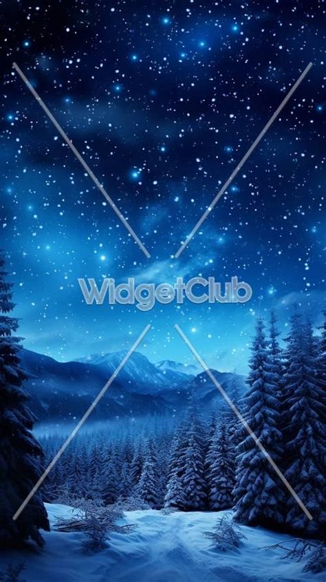 178 숲 Hd 월페이퍼 모두 다운로드 Widgetclub