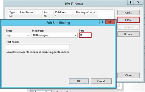 Using IIS Microsoft Internet Information Server TSplus Remote Access