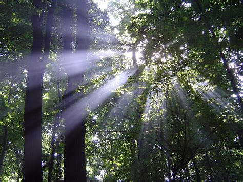 Landscapes Free Photo Download Freeimages