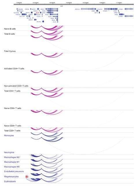 Promoter Capture Hi C High Resolution Genome Wide Profiling Of