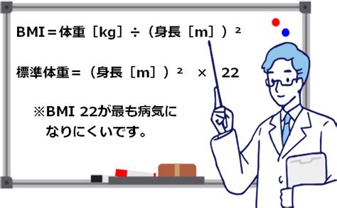 Bmiと標準体重の自動計算ツール 置き換えダイエット研究室